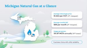 Find Utility Providers in Michigan Search for electricity, natural gas ...