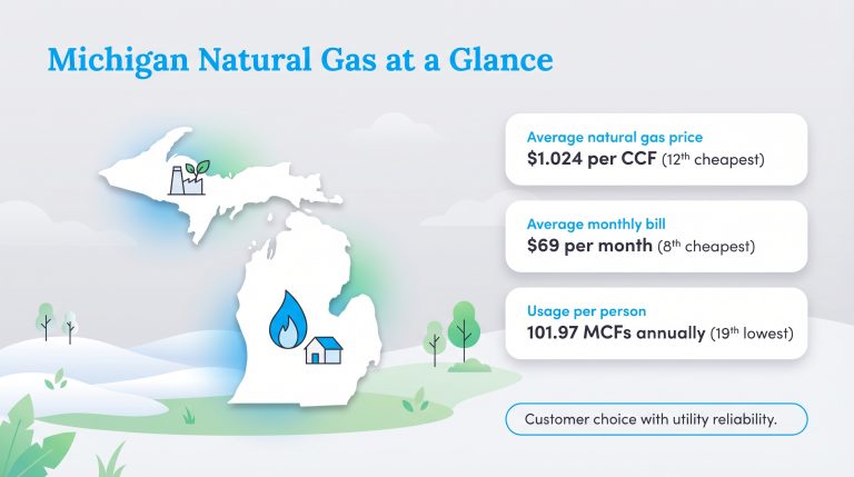 Find Utility Providers in Michigan Search for electricity, natural gas ...